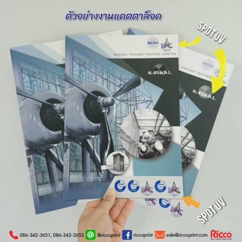 ตัวอย่างงานพิมพ์ แคตตาล็อก KASKAL - Riccoprint โรงพิมพ์ราคาถูก