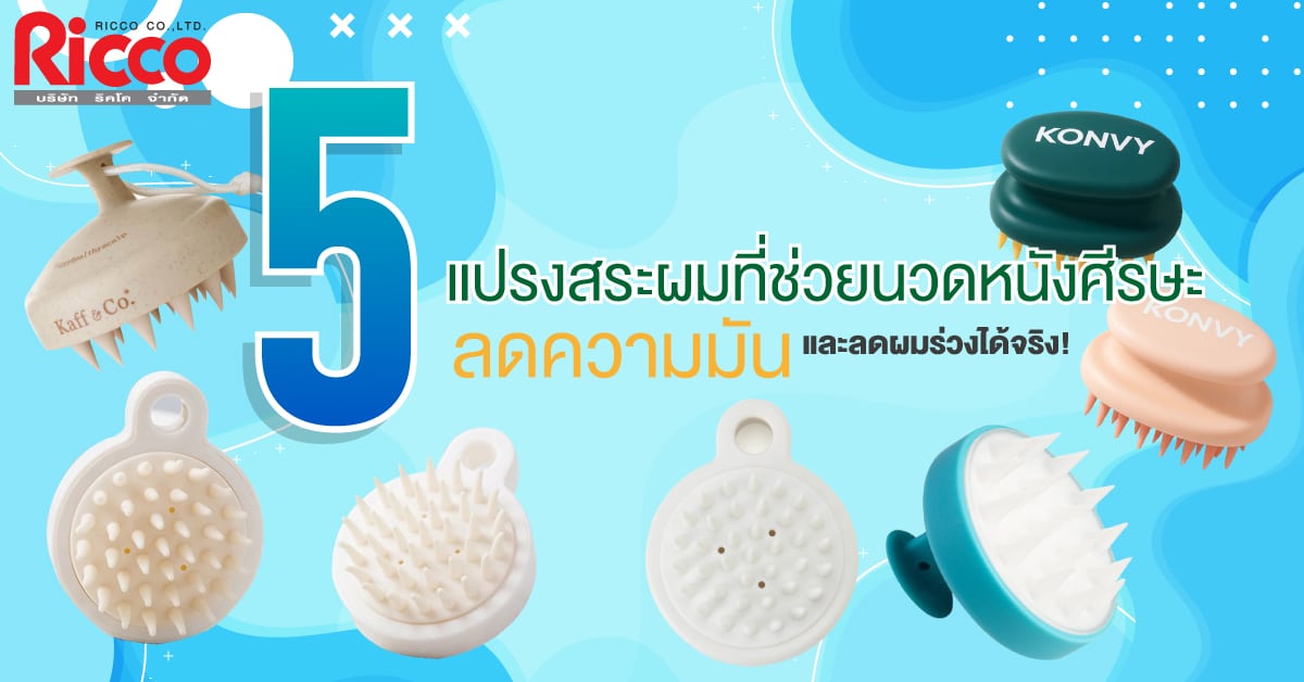 5 แปรงสระผมที่ช่วยนวดหนังศีรษะ ลดความมัน และลดผมร่วงได้จริง - Riccoprint โรงพิมพ์ราคาถูก
